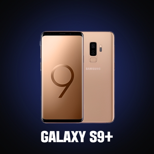 Samsung Galaxy S9+ (SM-G965) 64GB Unlocked Excellent Condition FREE ...